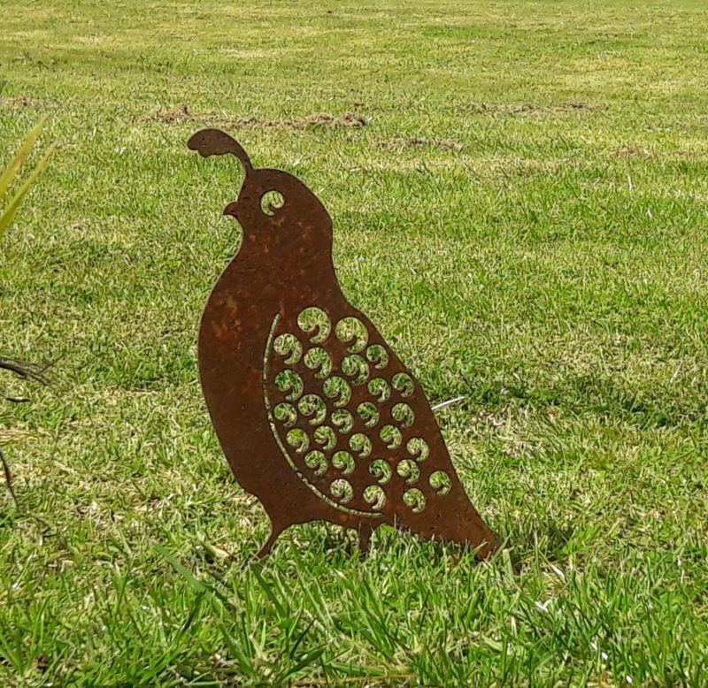 Gallery - Xstream Profiles